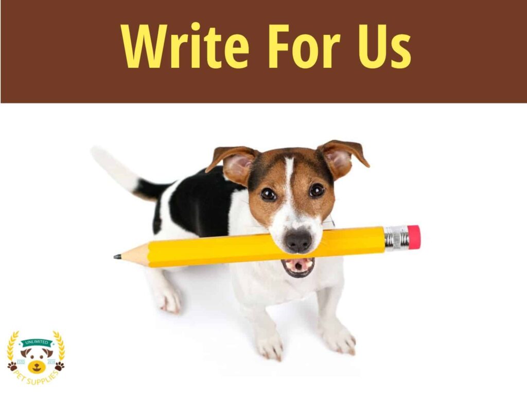 Pet Write For Us | Dog Write For Us | Cat Write For Us | Write For Us Pet